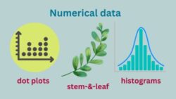 Numerical Data Displays for Better Decision Making - Study Guide Today