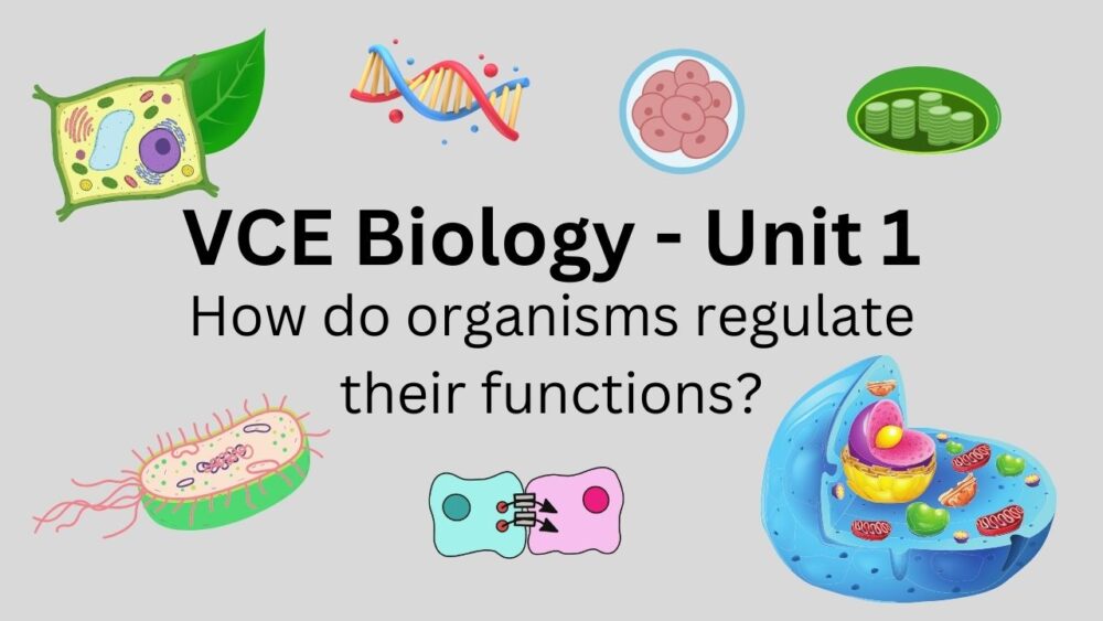 The Importance of VCE Biology Unit 1: Understanding Cellular Life ...